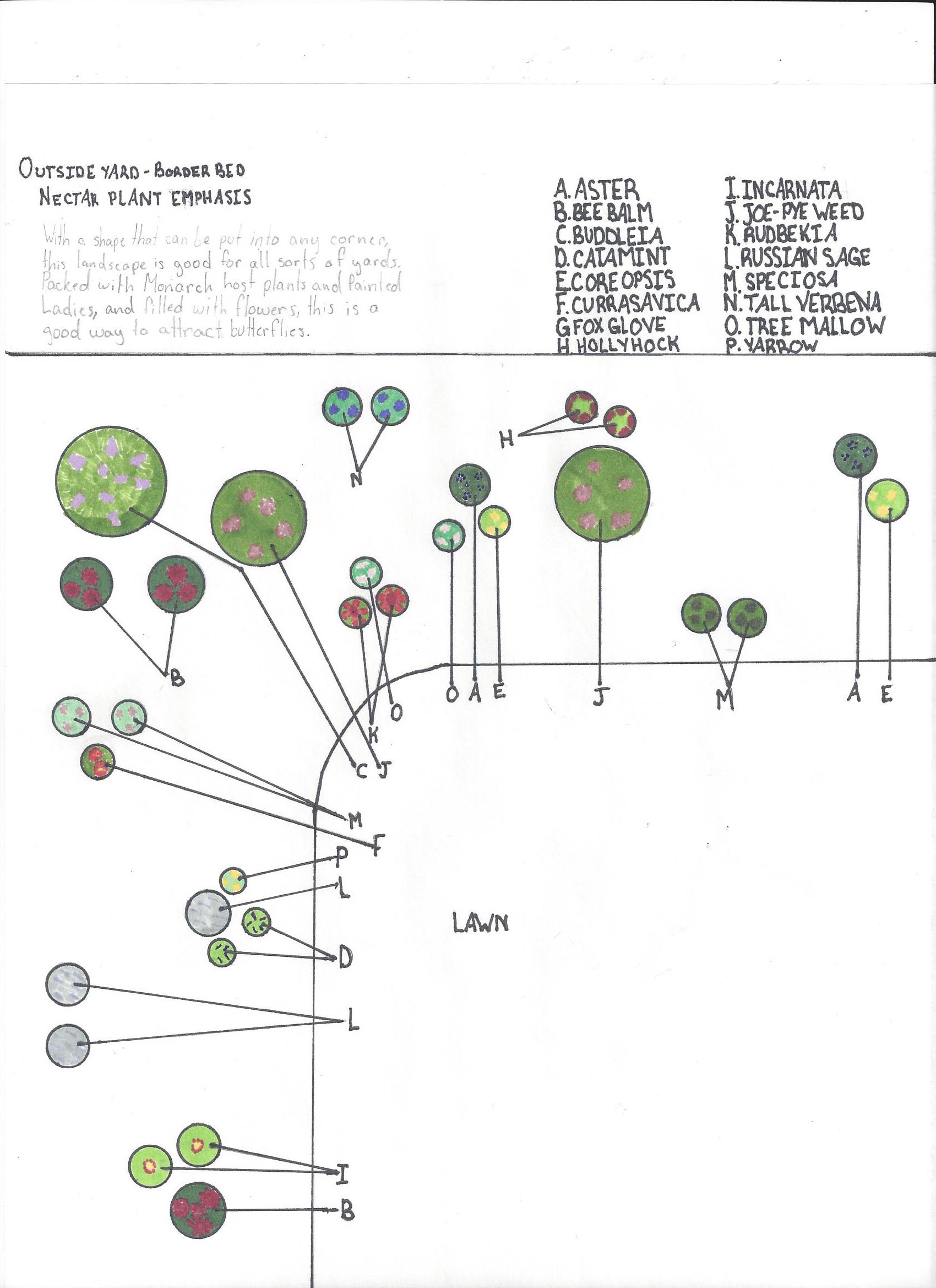Native Plant Nursery - Elkton Community Education Center